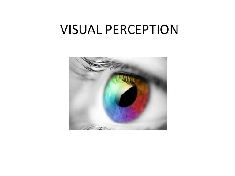 Visual perception