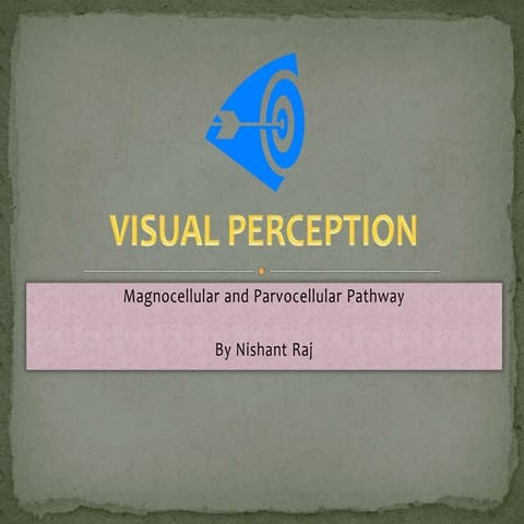 VISUAL PERCEPTION.pptx