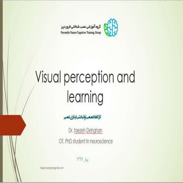 Visual perception and learning | PPT