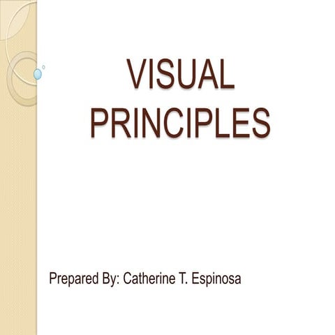Visual principles | PPT