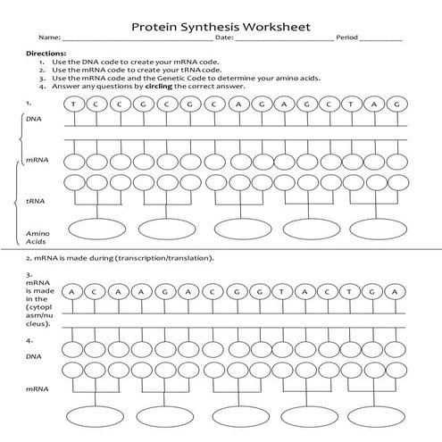 Dna And Protein Synthesis Ch 10 Worksheet Answers Protein Synthesis