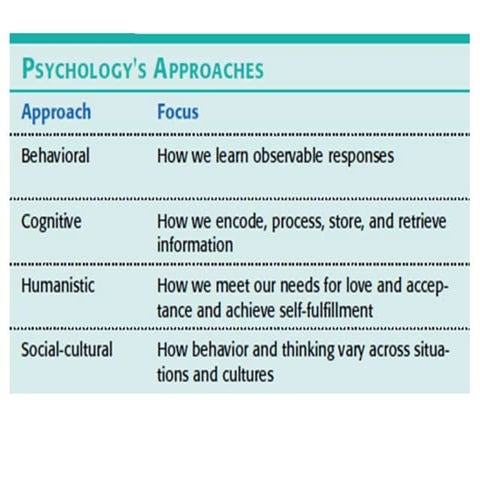 AP Psych Visual review | PPTX