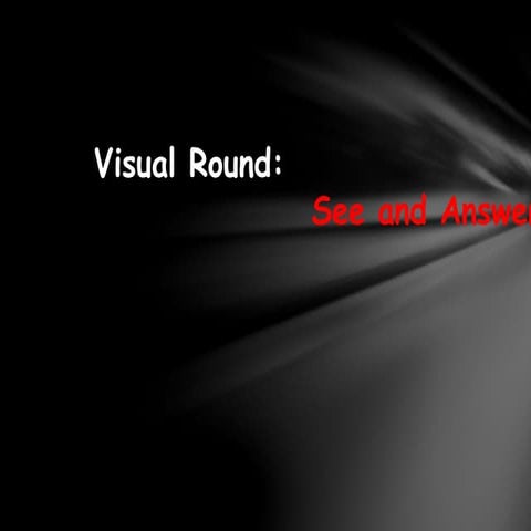 Visualround | PPT