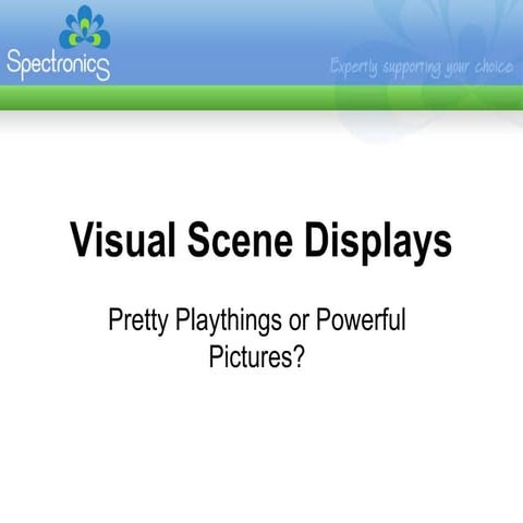 Visual Scene Displays | PPSX