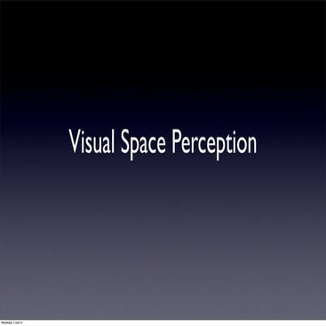 Visual space perception | PDF