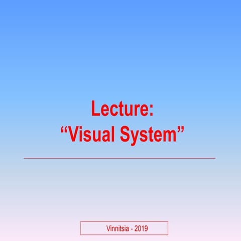Visual system.pptpptpptpptpptpptpptpptpptpptppt | PPT