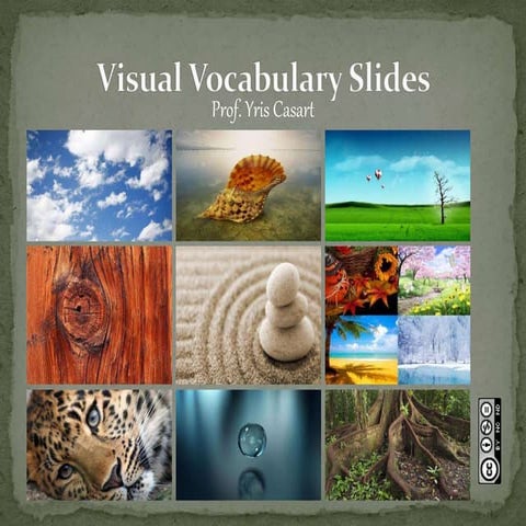 Vocabulary slides hungry little hare | PPTX