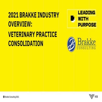 BRAKKE INDUSTRY OVERVIEW: VETERINARY PRACTICE CONSOLIDATION | PPTX