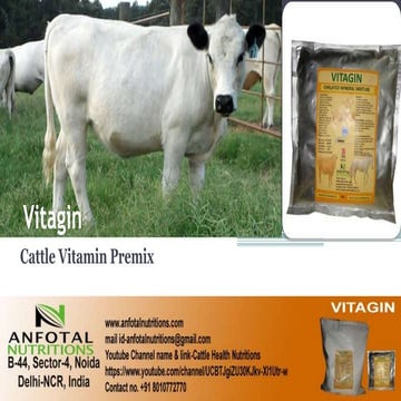 Cattle feed additives | PPT