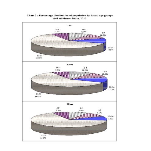 Vital statistics census india chart 2010 | PDF