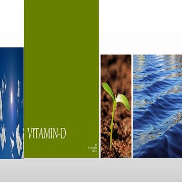 Vitamin_D_Metabolism_Complete_Presentation.pptx