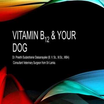 Vitamin b12 | PPTX | Digestive Disorders | Diseases and Conditions