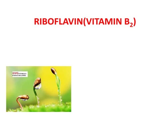 Riboflavin VITAMIN B2 | PPT