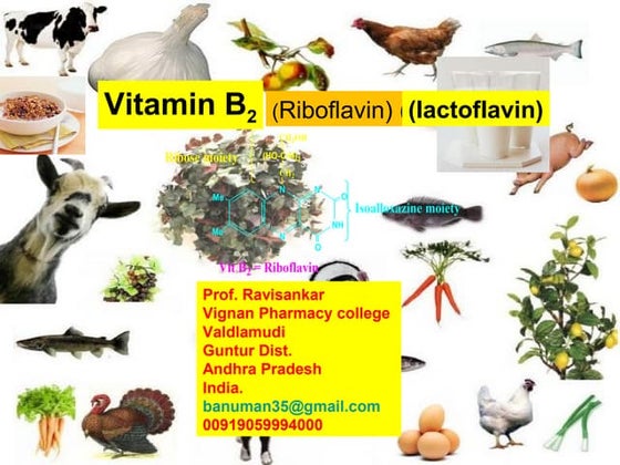 Vitamin b2 | PPT