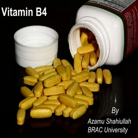 Vitamin B4 | PPSX