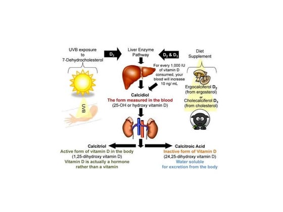 CDC nutrition Infographic | PDF