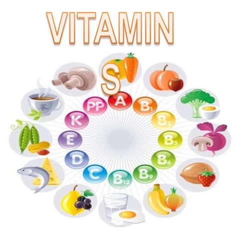 vitamins notes.pdf