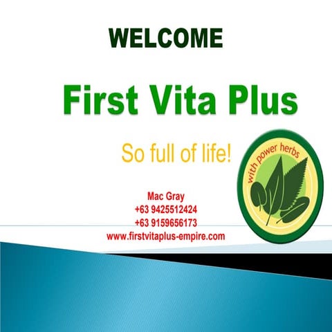 Vita Plus Logo