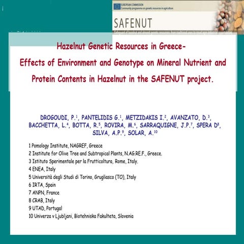Viterbo hazelnut greece 2010 | PPT