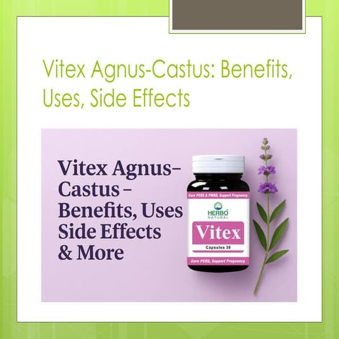 Vitex Agnus-Castus: Benefits, Uses, Side Effects | PPTX