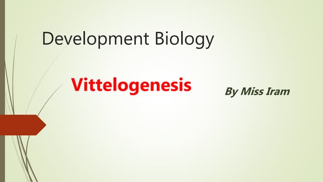 Cleavage, Types of cleavage | PPTX
