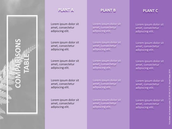 Free VIVA Presentation Templates | 4Research Objectives | PPTX