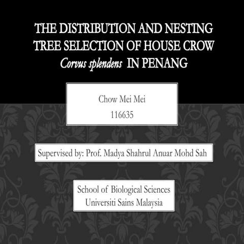 Nesting of House Crow | PPTX