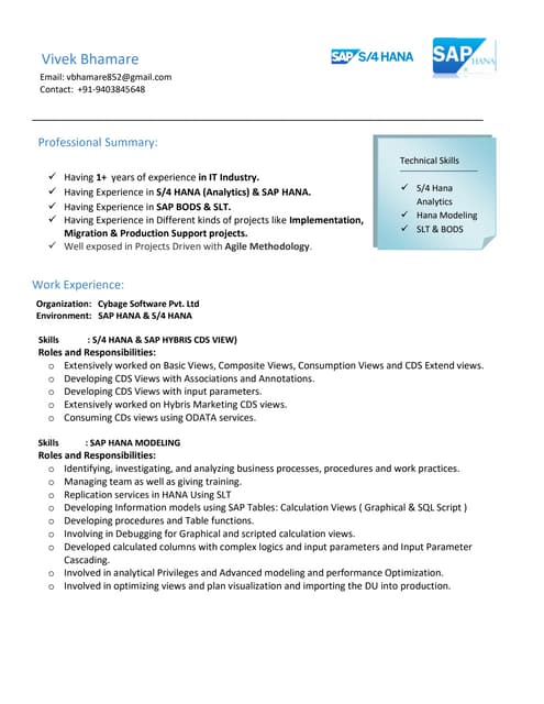 Neeraj Lamba Final Cv (1) | PDF