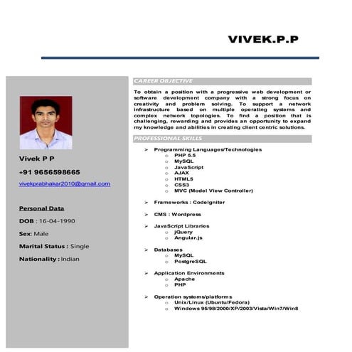 Vivek cv | DOCX