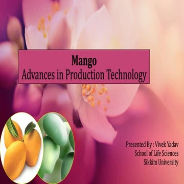 Mango cultivation practices | PPTX