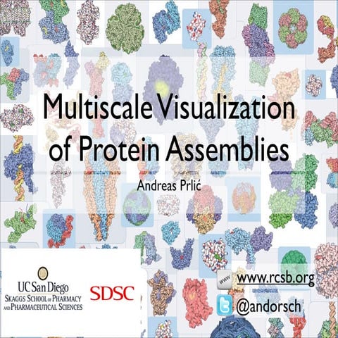 Vizbi 2014 Multiscale Visualization of Protein Assemblies | PDF