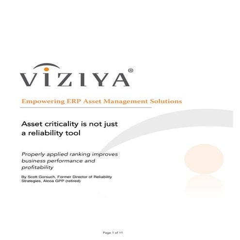 Viziya | PDF | Manufacturing Industry | Industries