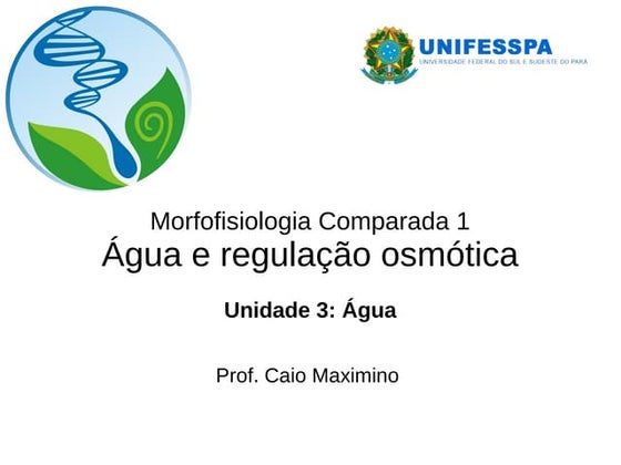 Bg28 regulação nos seres vivos - osmorregulação (parte i) | PPT