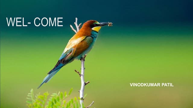 Classification of insecticides based on chemical nature | PPTX