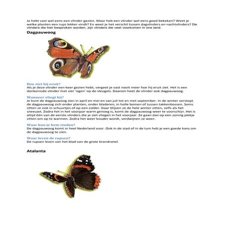 Vlinders | PDF