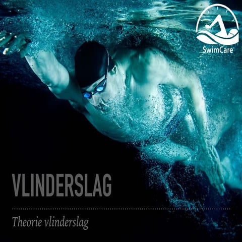 Vlinderslag | PDF
