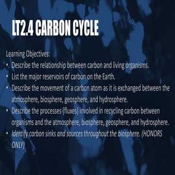 LT2.4 Carbon Cycle | PPT