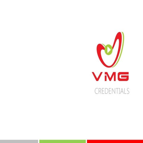 VMG Credentials | SMS Marketing | PPT