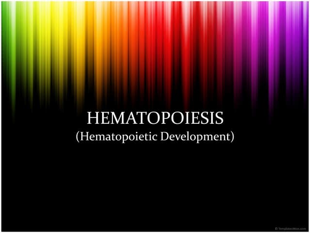 Hematopoisis | PPTX