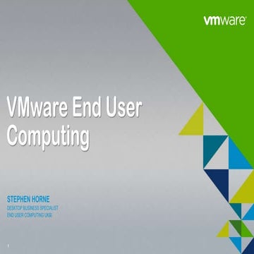 Technology Controls In Business End User Computing