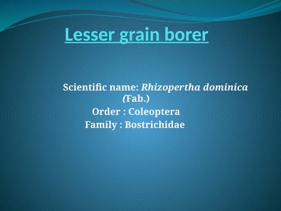 vnd.openxmlformats-officedocument.presentationml.presentation&rendition ...