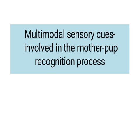 Multimodal sensory cues involved in the mother-pup recognition process ...