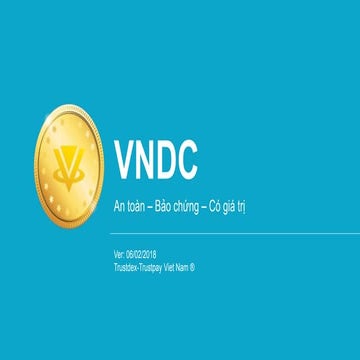 [NEW] - Introducing the VNDC presentation | PPTX