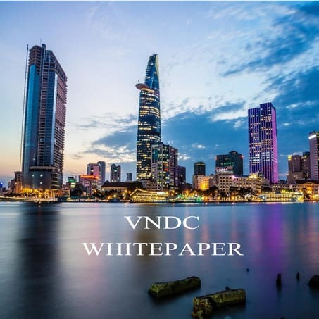 VNDC WHITEPAPER | PDF