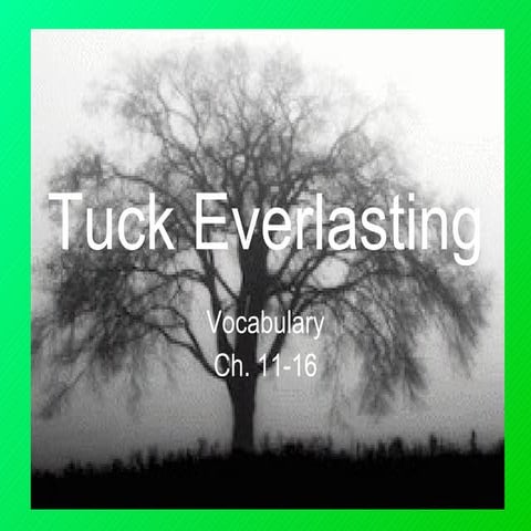Tuck Everlasting Voc.11 16 | PPT