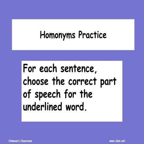 Homonym Recognition and Practice | PPTX