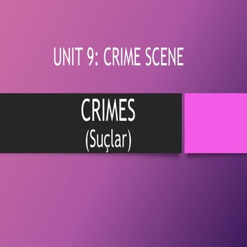 Crimes vocabulary | PPTX
