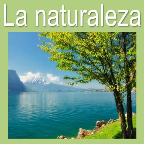 Vocabulario de la naturaleza | PPTX