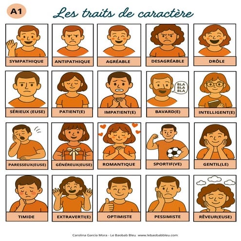 Fiche la description physique (A1) | PDF