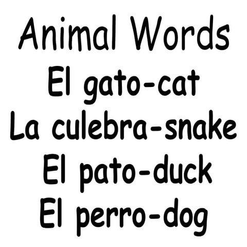Vocabulario basico / basic vocabulary espanol /ingles | PPTX